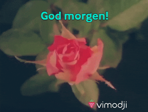 God Morgen GIFs - Get the best GIF on GIPHY