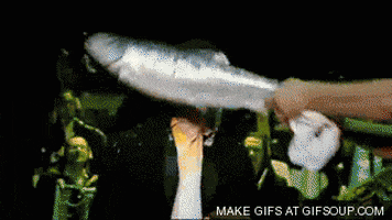 Fish Slap GIFs - Find & Share on GIPHY