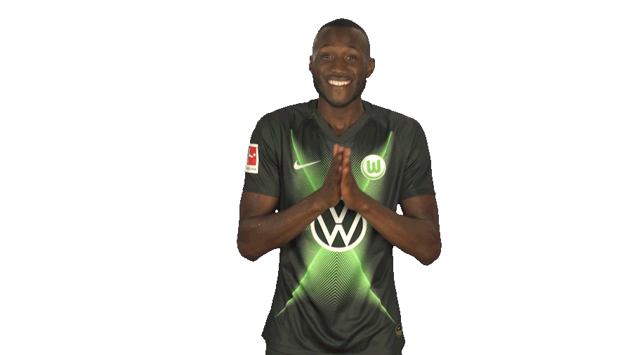 Happy Vfl Wolfsburg Sticker by Bundesliga for iOS & Android | GIPHY