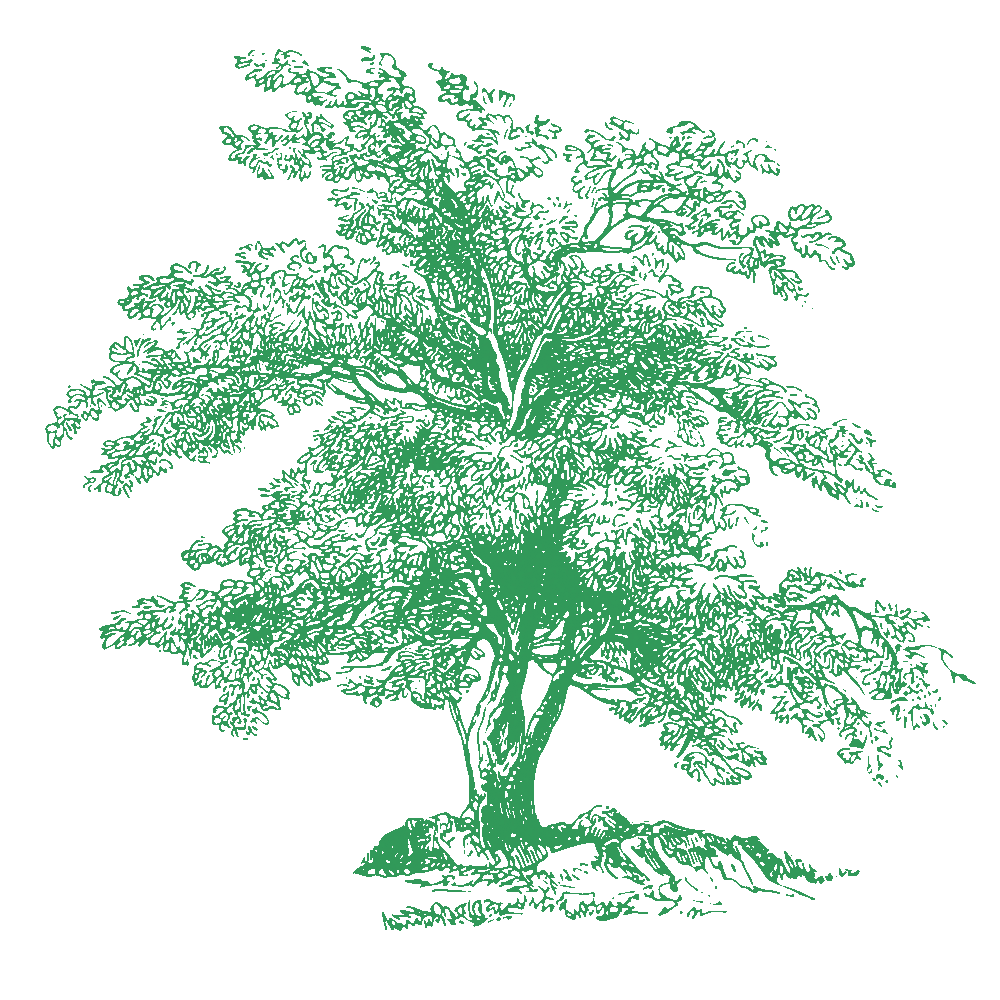 Green Tree Sticker by Smiles of People for iOS & Android | GIPHY