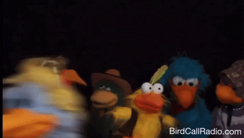 HEY NOW / tom (169816)