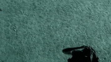 Can’t Tell Me Nothing GIFs on GIPHY - Be Animated