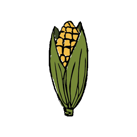 Corn On The Cob Popcorn Sticker by ISUExtension for iOS & Android | GIPHY