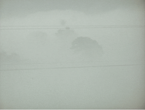 Got Fog GIFs - Get the best GIF on GIPHY