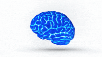Human Brain Animation Gif