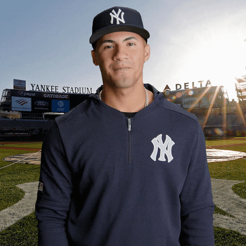 Delta Yankees GIFs - Get the best GIF on GIPHY