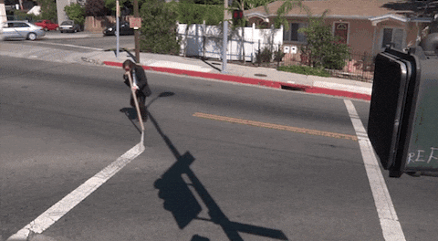 Walking Across The Street GIFs - Get the best GIF on GIPHY