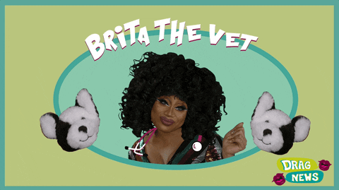 Brita Filter GIFs - Get the best GIF on GIPHY
