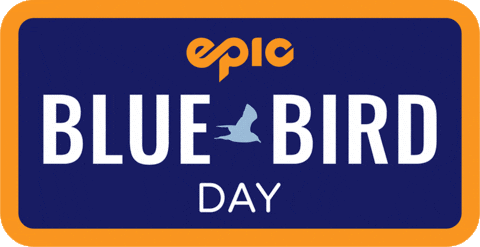 Blue Bird Day GIFs - Get the best GIF on GIPHY