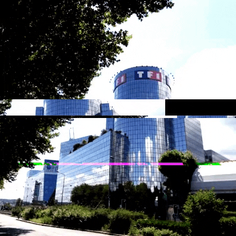 Intellectual Curiosity GIFs - Get the best GIF on GIPHY