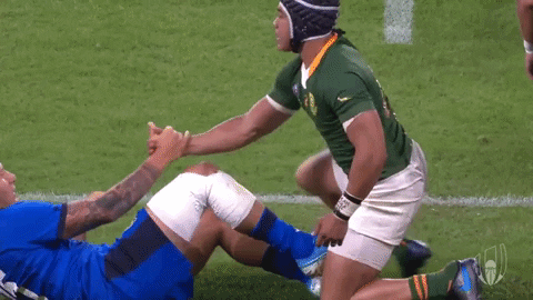 World Rugby Sport GIF by Rugby World Cup - Find & Share on GIPHY