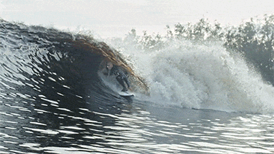 Surf Dude GIF by Digg - Find & Share on GIPHY