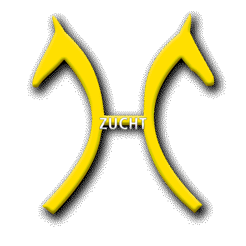 Horse Reiten Sticker by Hannoveraner Verband for iOS & Android | GIPHY