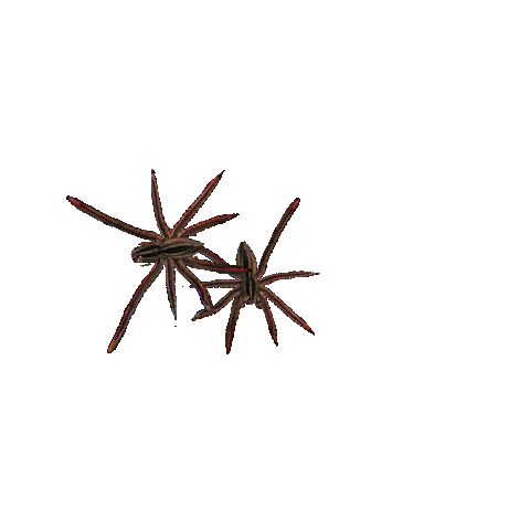 Spider Crawl Sticker by Dinaaaaaah for iOS & Android | GIPHY