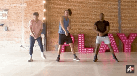 Whip Dance Gif