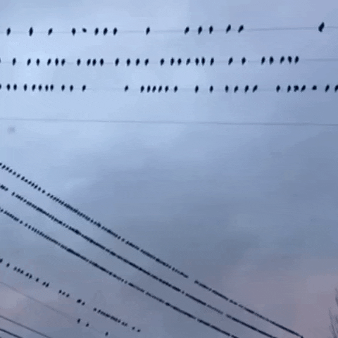Illuminati GIF by hazelst - Find & Share on GIPHY