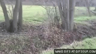 Cache Oeil GIFs - Find & Share on GIPHY