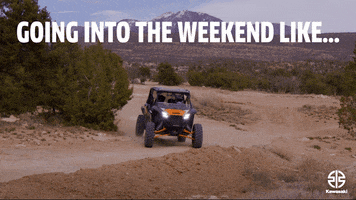 Reaction GIFs GIFs on GIPHY - Be Animated