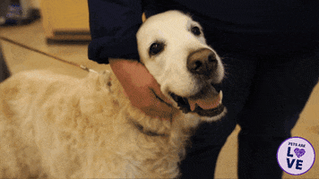 Petco Love GIFs on GIPHY - Be Animated