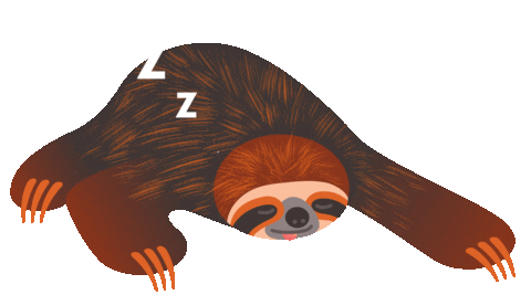 Sleepy Sloth Gif