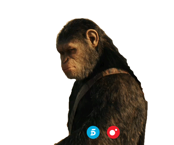 Angry Planet Of The Apes Sticker by Mediaset España for iOS & Android ...
