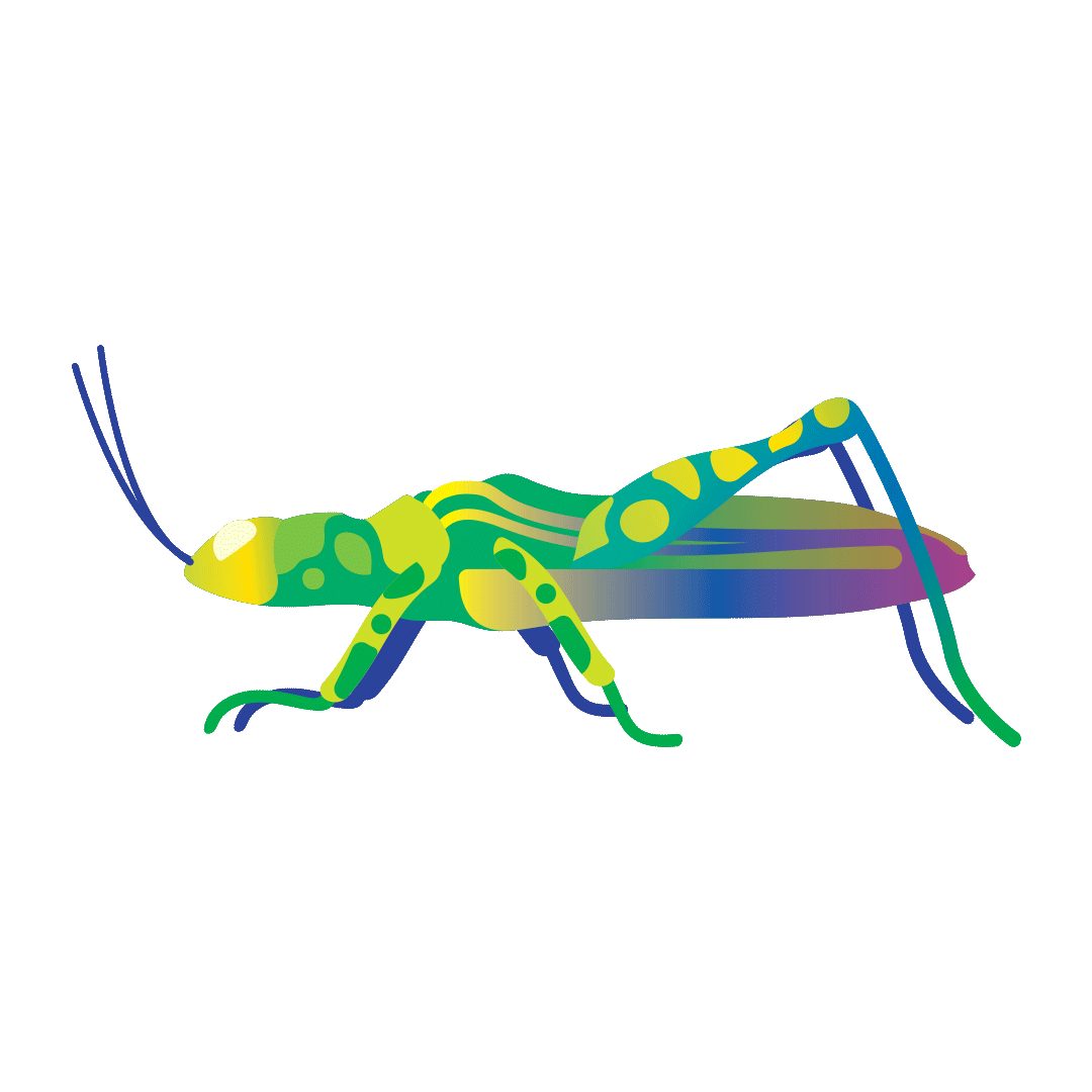 Earth Bug Sticker by sweetgreen for iOS & Android | GIPHY