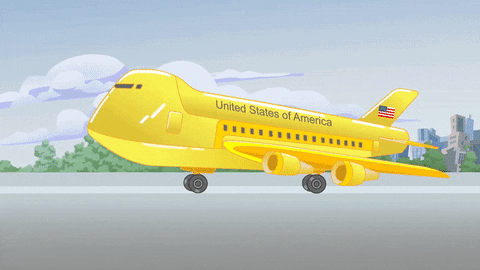 Air Force One Trump GIF by Noise Nest Network - Find & Share on GIPHY