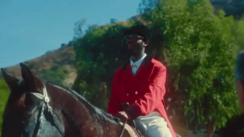 Ged GIF by Lute - Find & Share on GIPHY