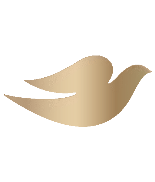 Dove Sticker by UnileverSL for iOS & Android | GIPHY
