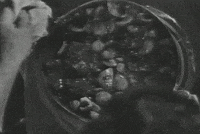 Olla GIFs - Get the best GIF on GIPHY