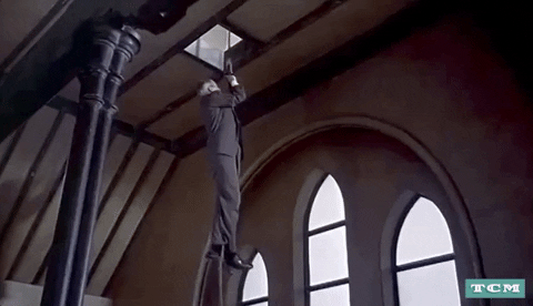 Hanging On For Survival GIFs - Get the best GIF on GIPHY