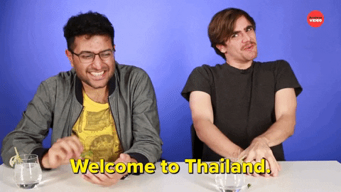 Welcome-to-thailand GIFs - Get the best GIF on GIPHY