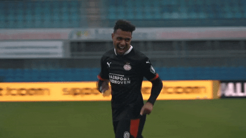 Goal GIF by PSV - Find & Share on GIPHY