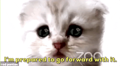 Im-prepared-to-go-forward-with-it GIFs - Get the best GIF on GIPHY