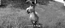 Sad Donkey GIFs - Find & Share on GIPHY
