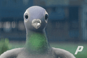 Progressive GIFs on GIPHY - Be Animated