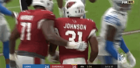 Arizona Cardinals Football GIF by NFL - Find & Share on GIPHY