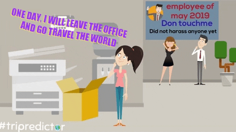 Im In The Office GIFs - Get the best GIF on GIPHY