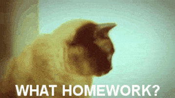 Homework GIFs - Find & Share on GIPHY