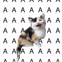 Aaaaaaaa GIFs - Find & Share on GIPHY
