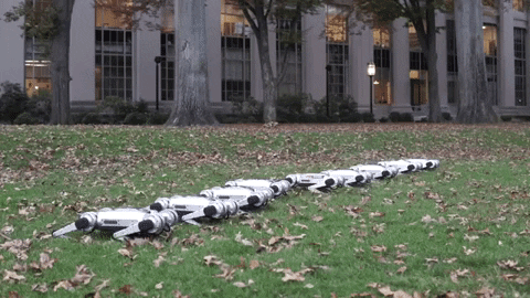 TEST by MIT | GIPHY