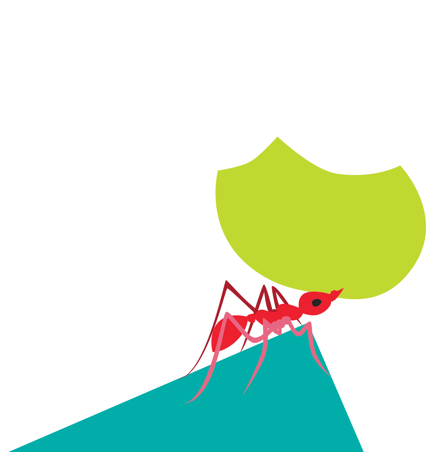 Ants Sticker by Montshire Museum of Science for iOS & Android | GIPHY