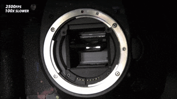 Shutter GIFs - Find & Share on GIPHY