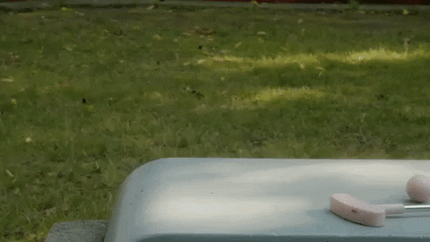 Grailed GIFs - Get the best GIF on GIPHY