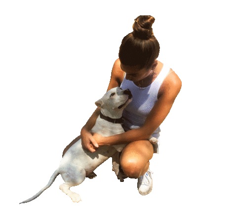 CAARE Rescue GIFs on GIPHY - Be Animated