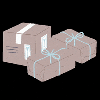 Pakke Gif Werkgroep Moet Hondenproblematiek Bonaire Aan Gaan Pakken