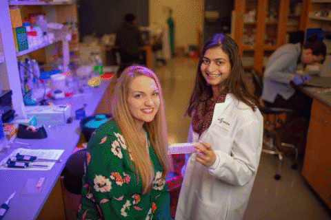 Biologically-inspired-engineering GIFs - Get the best GIF on GIPHY