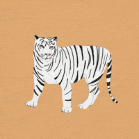 Animated Tiger Running Gif
