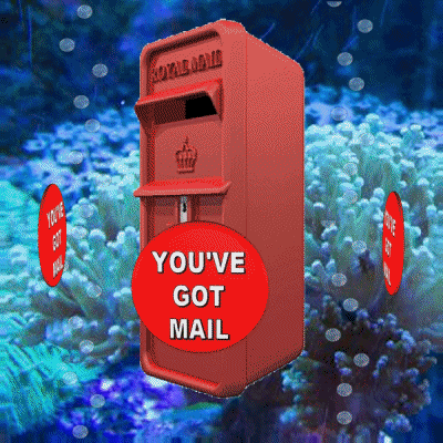 Mailing Post Office GIF - Find & Share on GIPHY