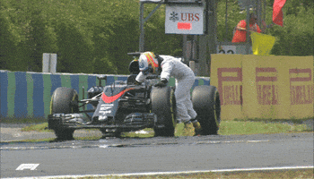 Fernando Alonso GIFs - Find & Share on GIPHY